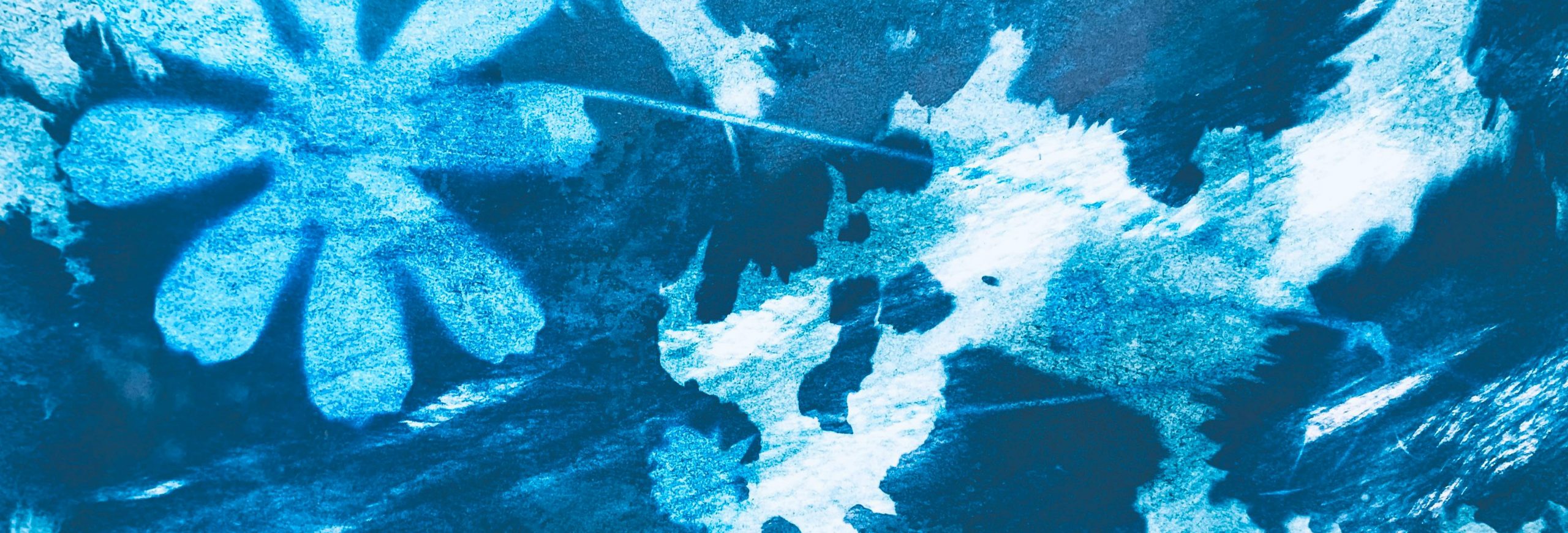 Cyanotypes | Sambuko Artiste Peintre